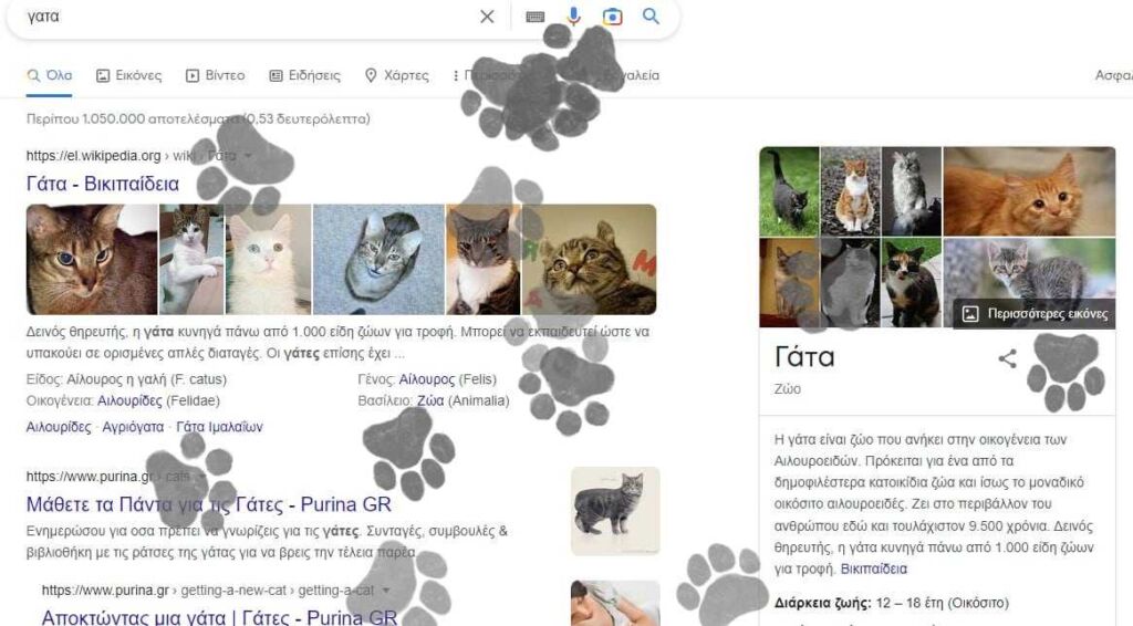Easter Egg in Google search with cats and dogs - iGuRu.gr